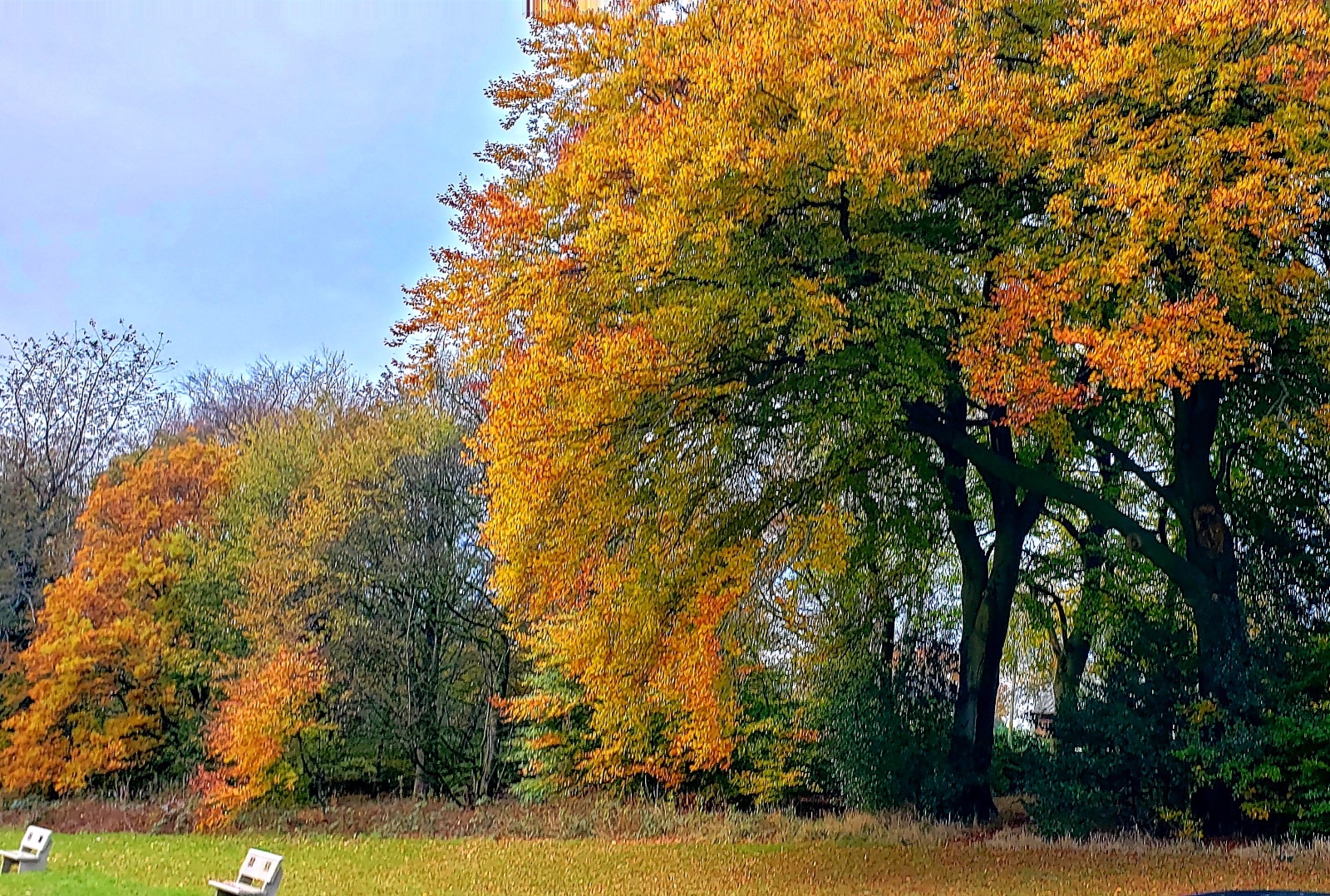 Solve Colours of Autumn jigsaw puzzle online with 40 pieces