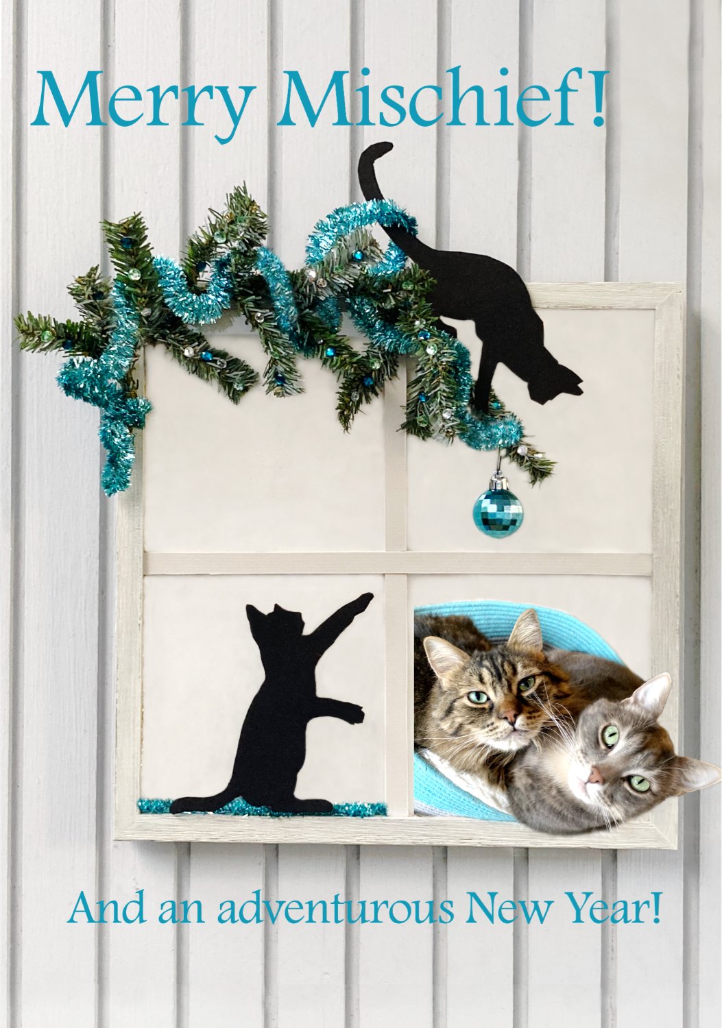 Solve Merry Mischief!! 😊😽 jigsaw puzzle online with 54 pieces