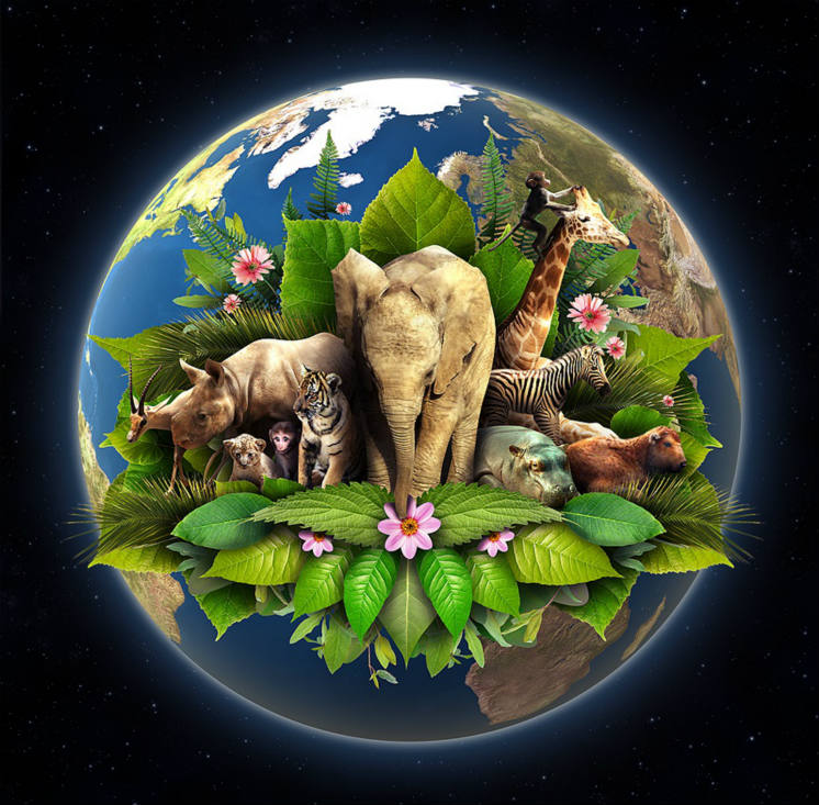 Solve Happy Earth Day! jigsaw puzzle online with 16 pieces