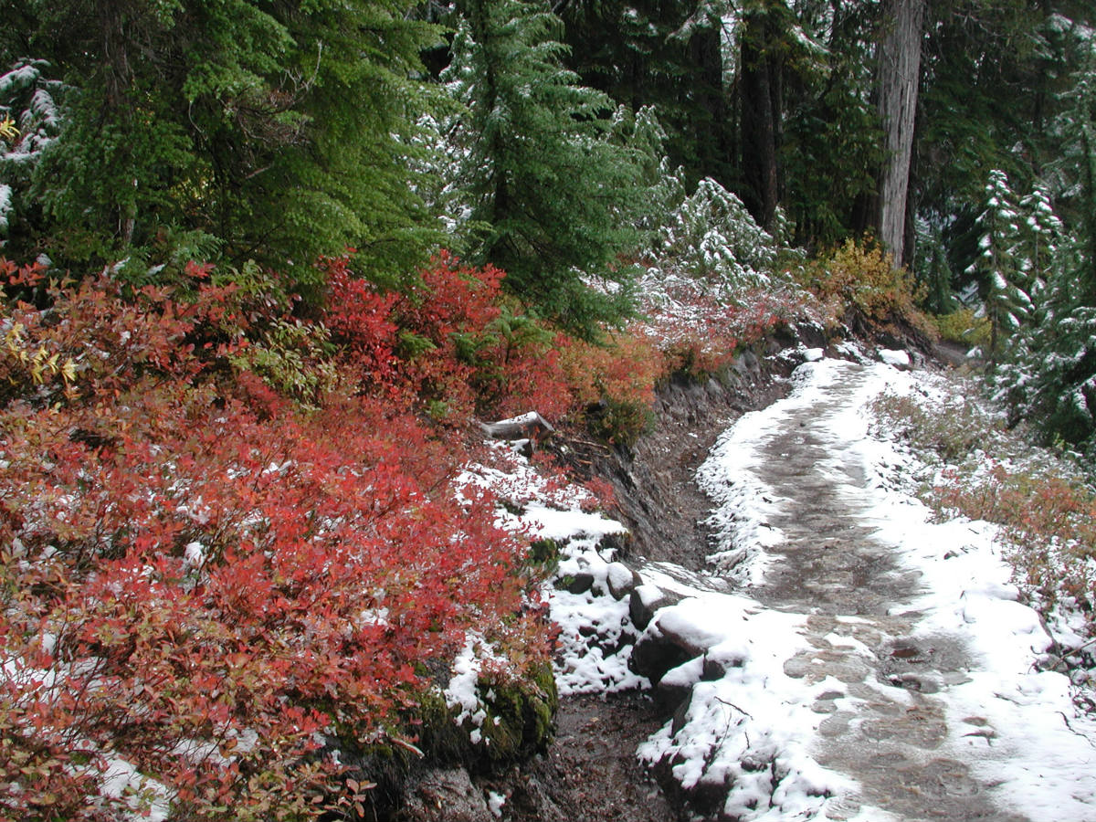 Solve Heading Home jigsaw puzzle online with 108 pieces