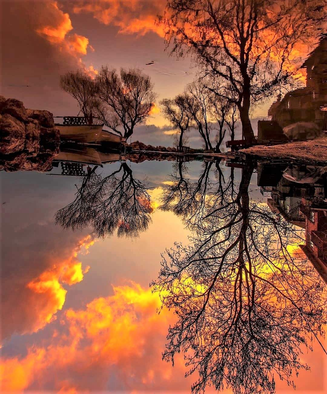 Solve The King of Reflection jigsaw puzzle online with 120 pieces