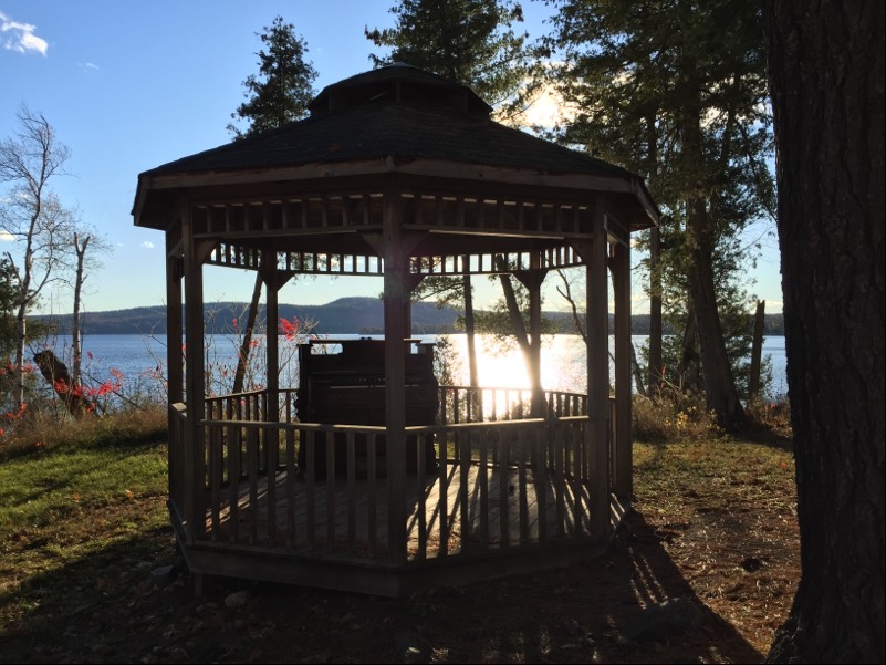 Solve Gazebo by the lake jigsaw puzzle online with 12 pieces