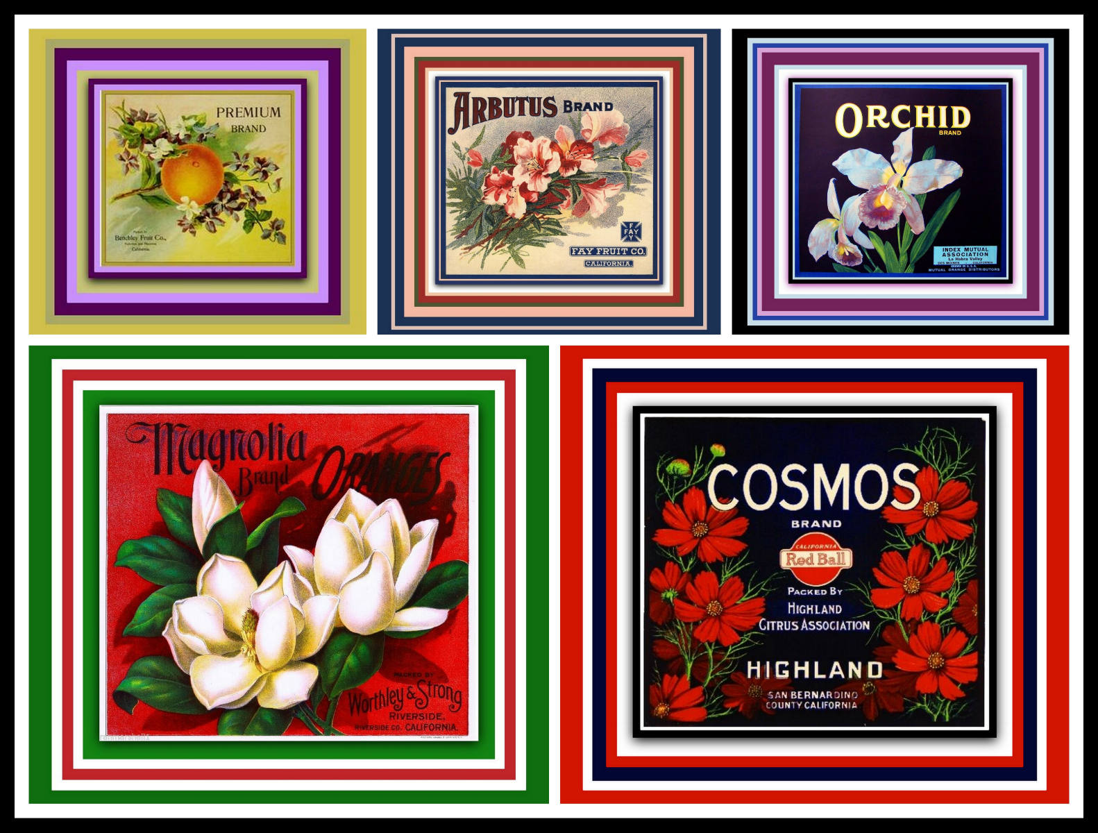 Solve More Vintage Fruit Crate Labels - All with a Floral Design jigsaw ...