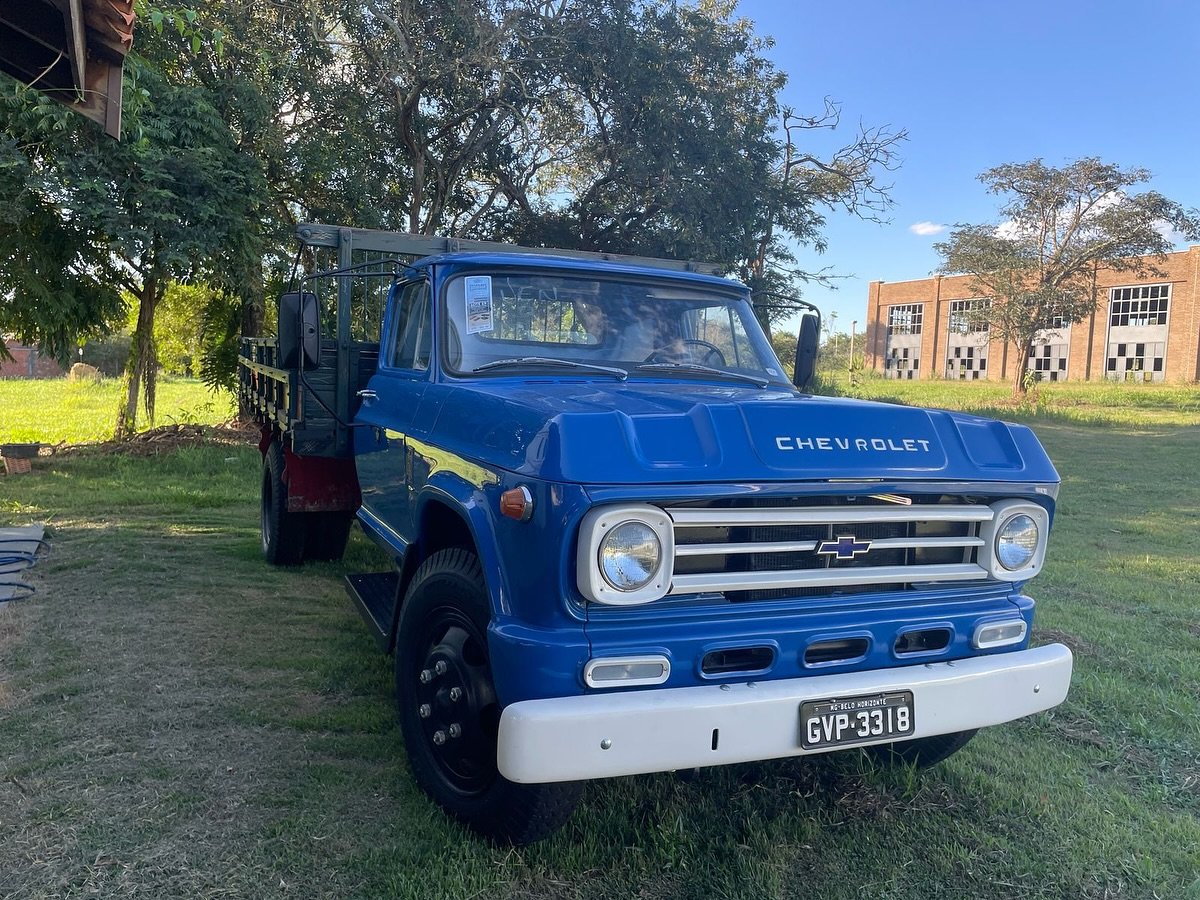 Solve 1973 - CHEVROLET D60 jigsaw puzzle online with 192 pieces