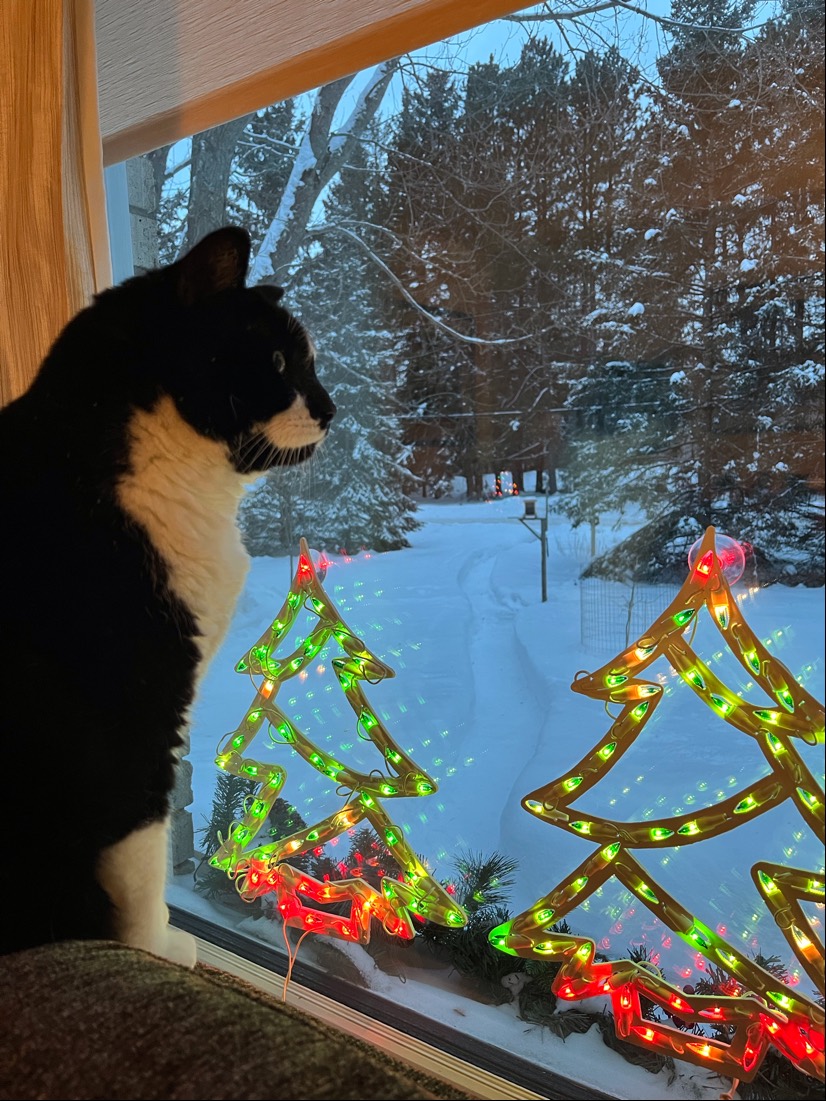 Solve The Waiting Game jigsaw puzzle online with 88 pieces