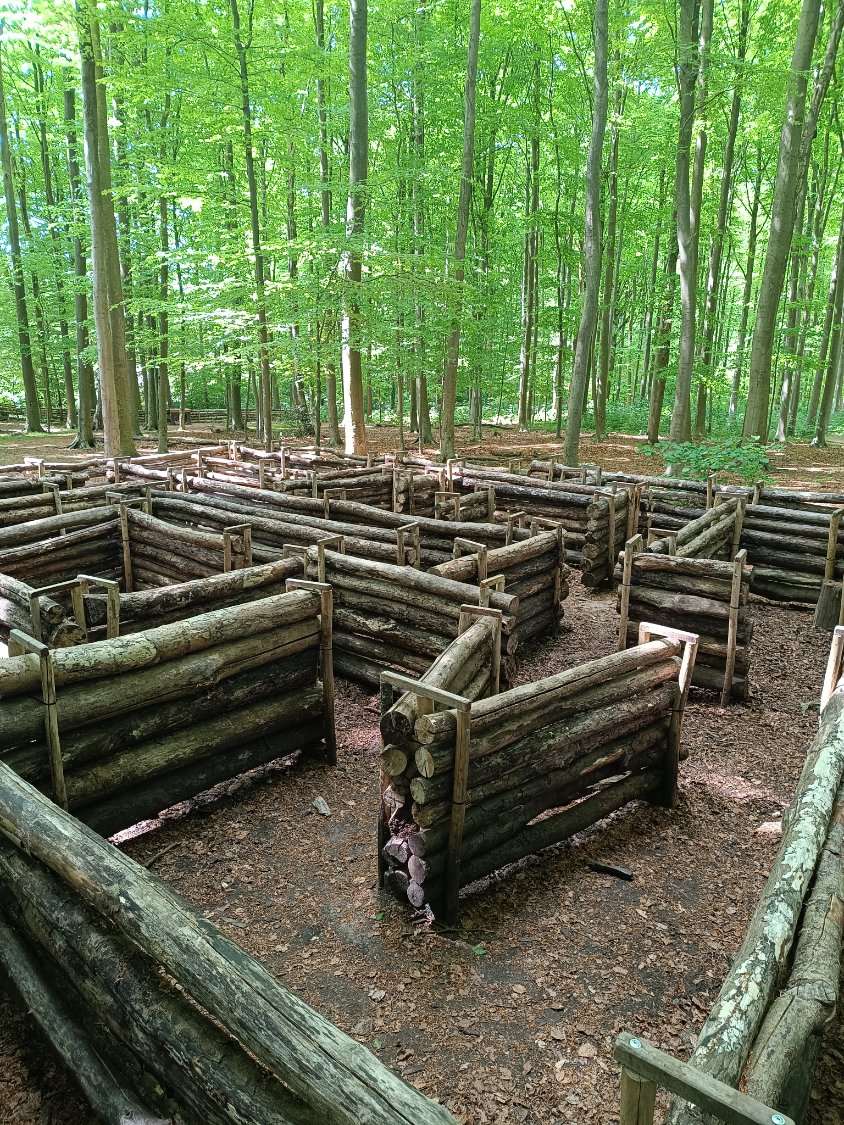 Solve A maze made of small logs... Yes, of course I climbed on it 🥳🤣 ...