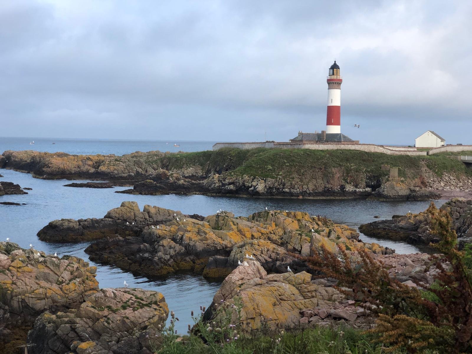 Solve Peterhead Buchan Ness Lighthouse jigsaw puzzle online with 432 pieces