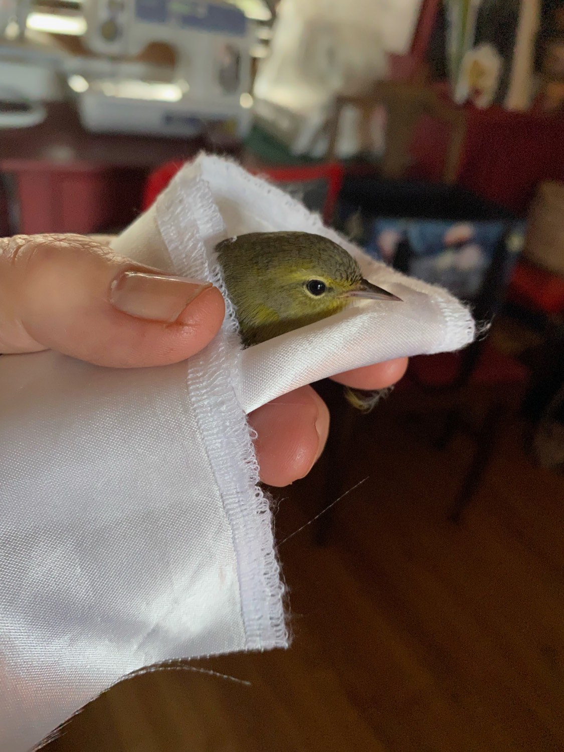 Solve Thank You jigsaw puzzle online with 63 pieces