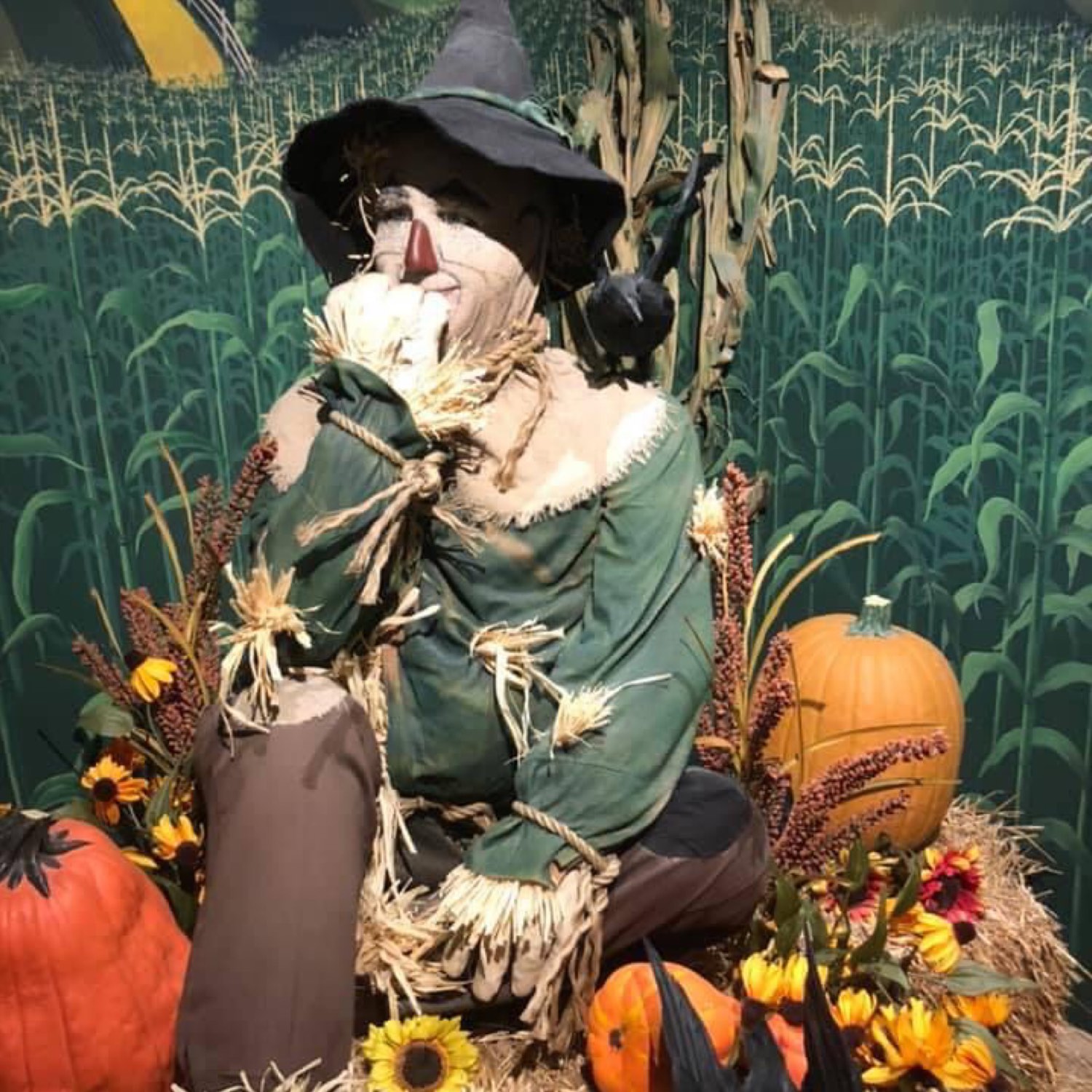 Solve Scarecrow jigsaw puzzle online with 169 pieces