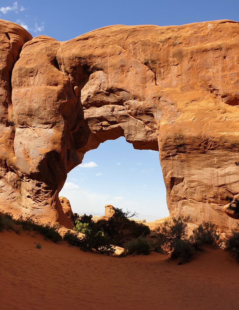 Solve PINE TREE ARCH jigsaw puzzle online with 30 pieces