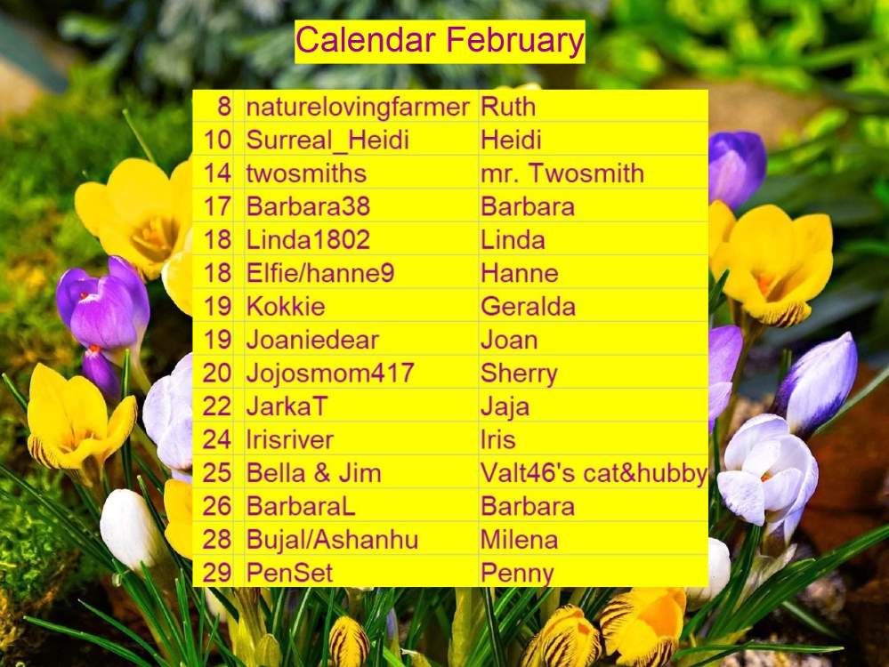 Solve Birthday Calendar February jigsaw puzzle online with 12 pieces