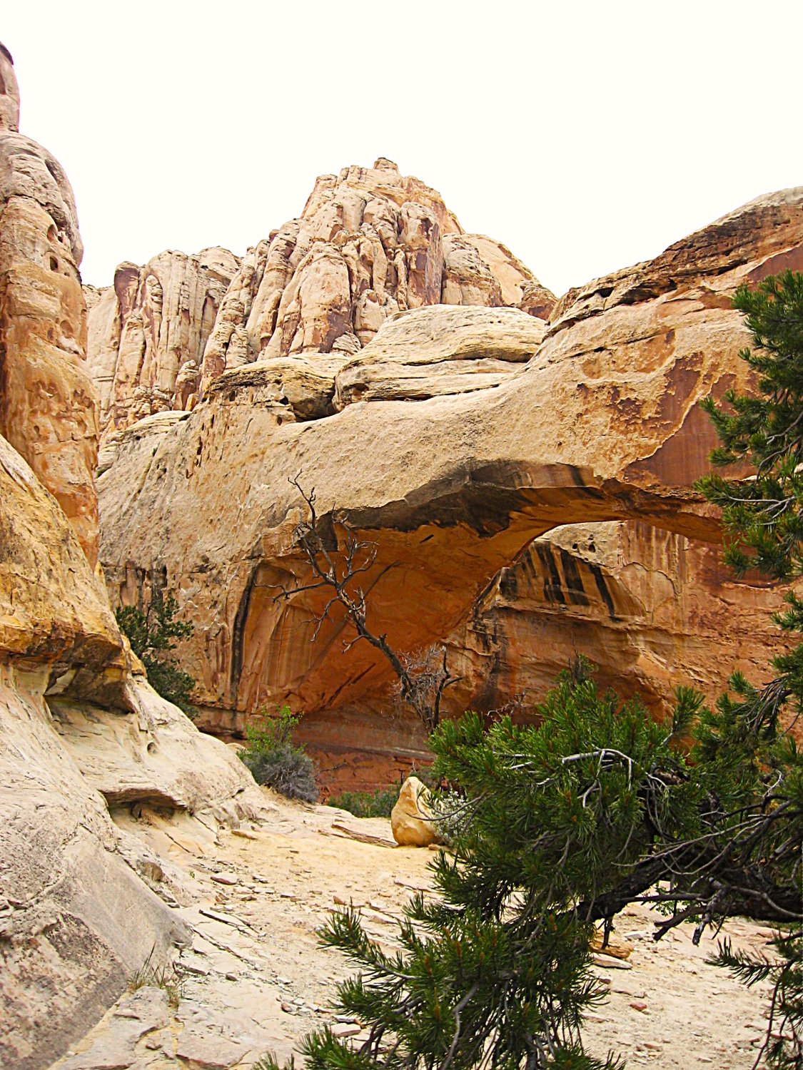 Solve Capitol Reef UT jigsaw puzzle online with 80 pieces