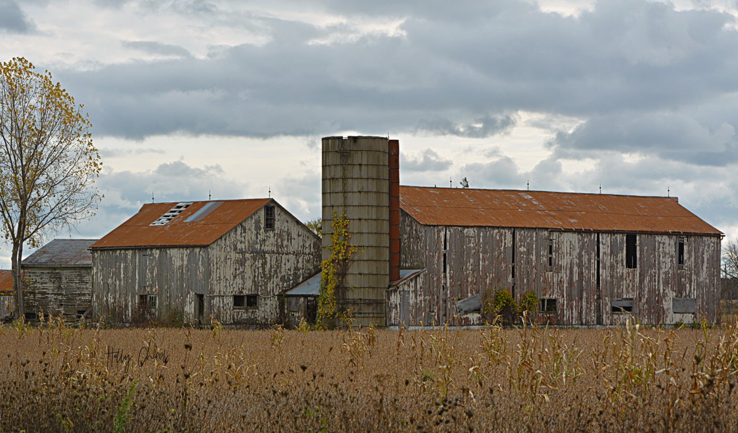 Solve Multiple Barns (resize 15 - 400 pieces) jigsaw puzzle online with ...