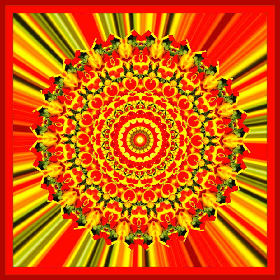 Solve Red and yellow or yellow and red? #2 jigsaw puzzle online with 49 ...