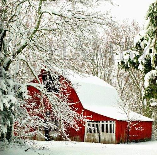 Solve A SNOWY BARN jigsaw puzzle online with 64 pieces