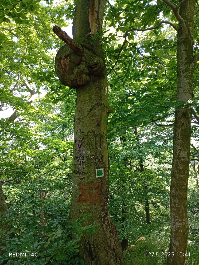 Solve IMG_20250527_104107 jigsaw puzzle online with 20 pieces