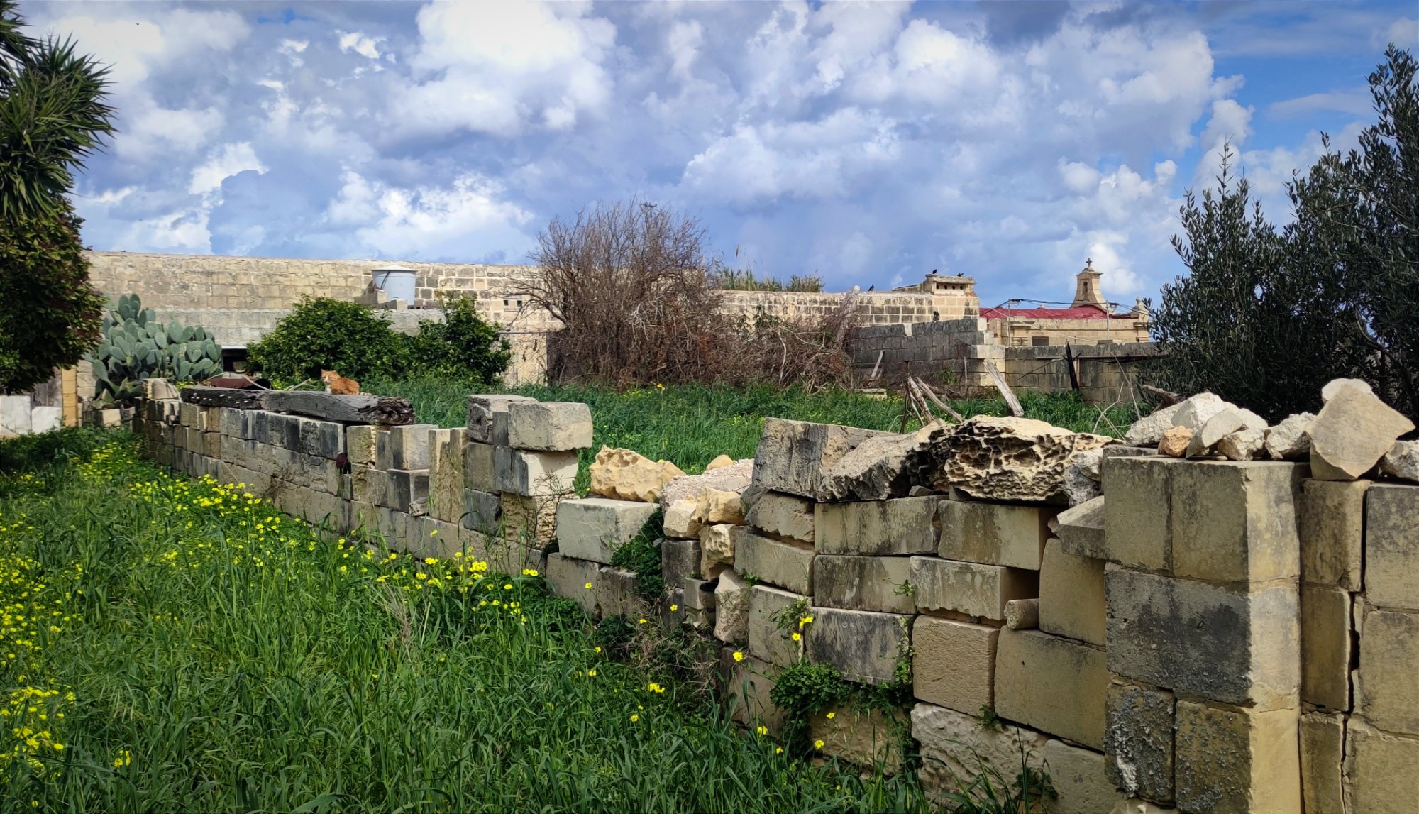 Jigsaw Puzzle | 60 pieces | Spot the Cat | Jigidi