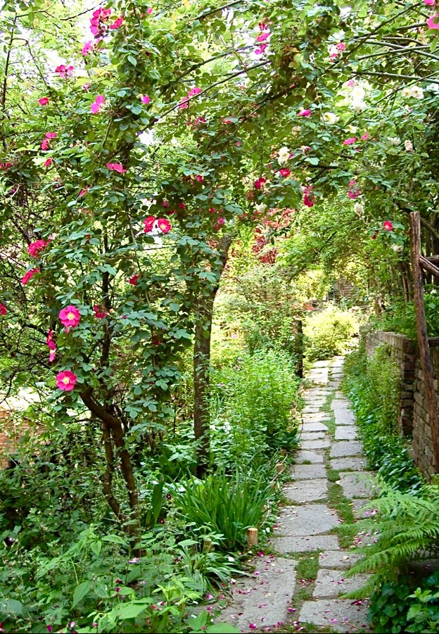 Solve A shaded path jigsaw puzzle online with 54 pieces