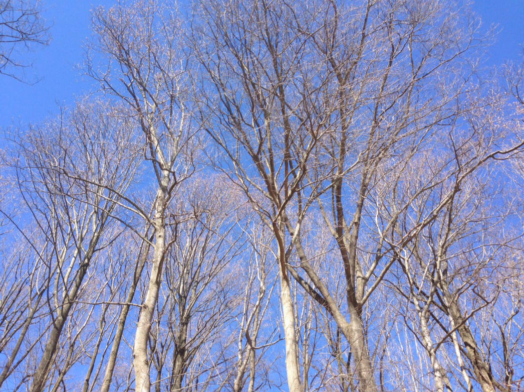 Solve Blue Sky jigsaw puzzle online with 30 pieces