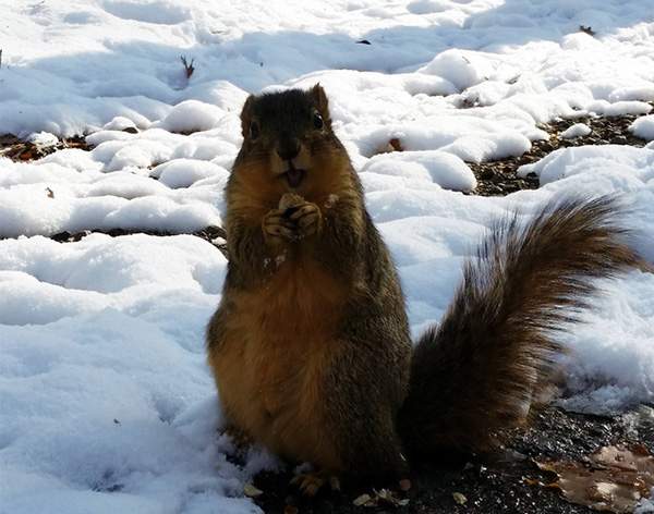 Solve Whew! I almost forgot where I stashed these! jigsaw puzzle online ...