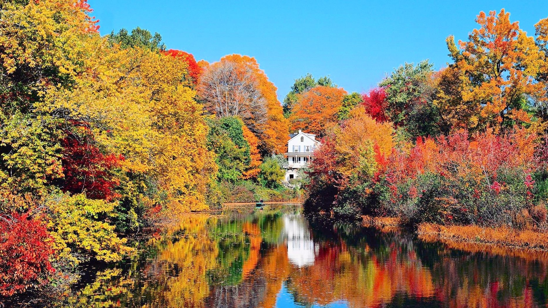 Solve House on the River, resizable 15 to 589 pieces jigsaw puzzle ...