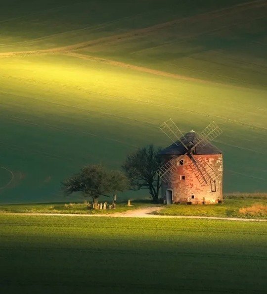 Solve Beautiful view jigsaw puzzle online with 56 pieces