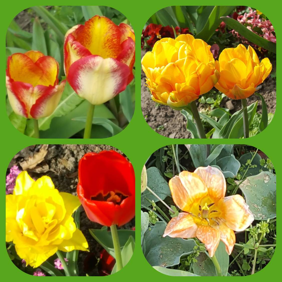 Solve Jaro / Spring jigsaw puzzle online with 64 pieces