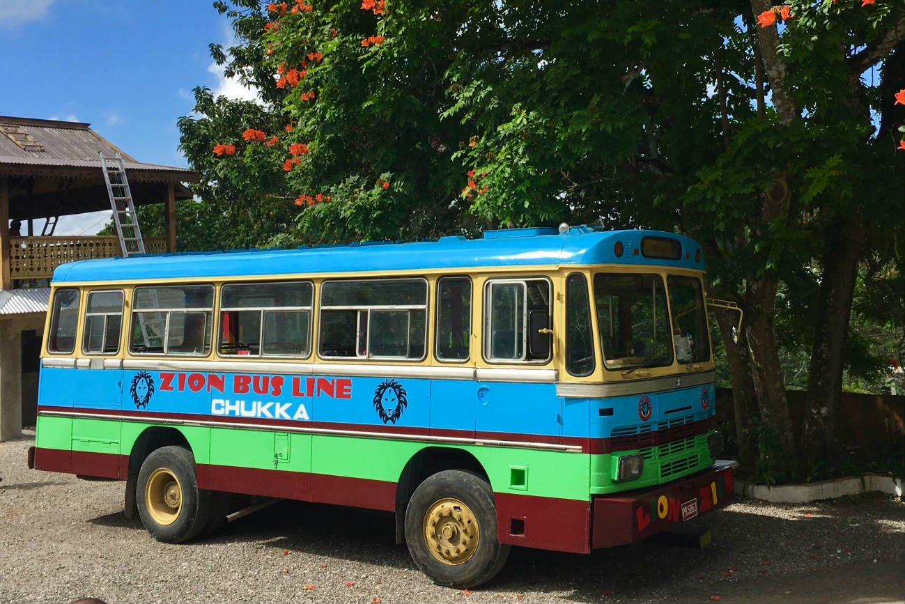 Solve Jamaican Bus. jigsaw puzzle online with 117 pieces