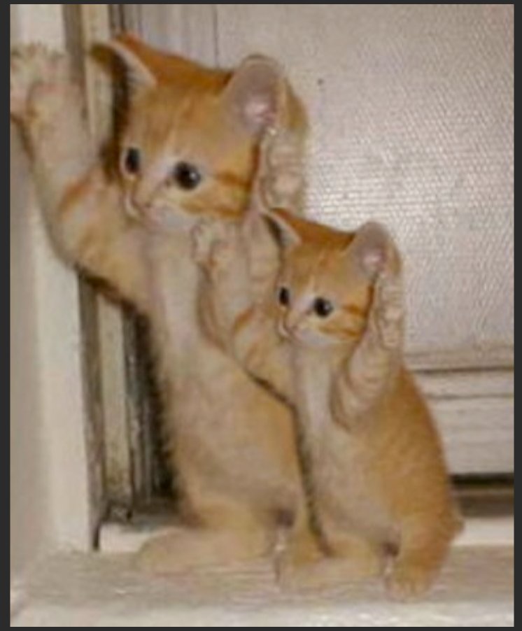 Jigsaw Puzzle | 20 pieces | Copycat Alert... Me and Mini Me. | Jigidi