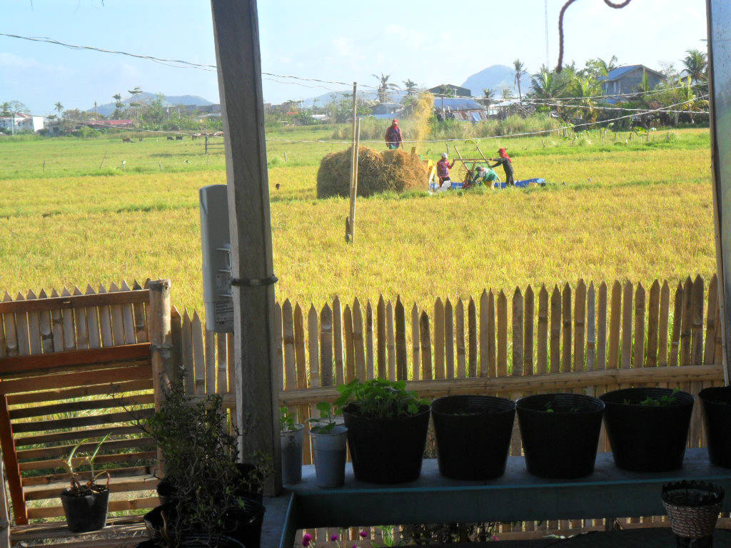 Jigsaw Puzzle | 48 Teile | Rice threshing in the Philippines | Jigidi