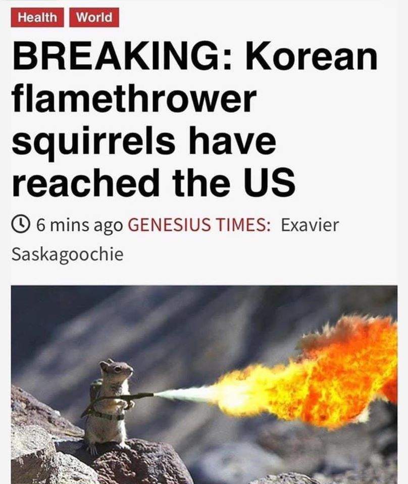 Solve Korean Flamethrower Squirrels have arrived in the US jigsaw ...