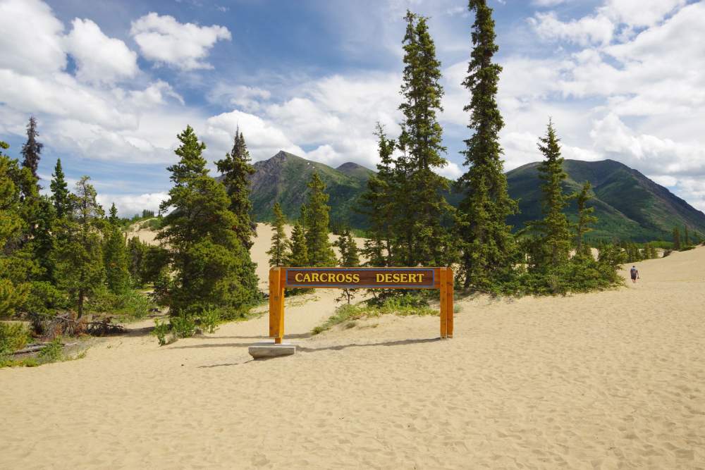 Solve Carcross Desert jigsaw puzzle online with 12 pieces