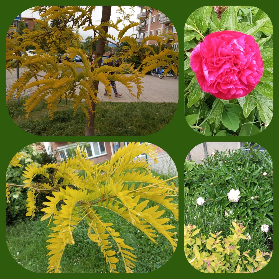 Solve 18.5.2025 - Na procházce / On a walk jigsaw puzzle online with 9 ...