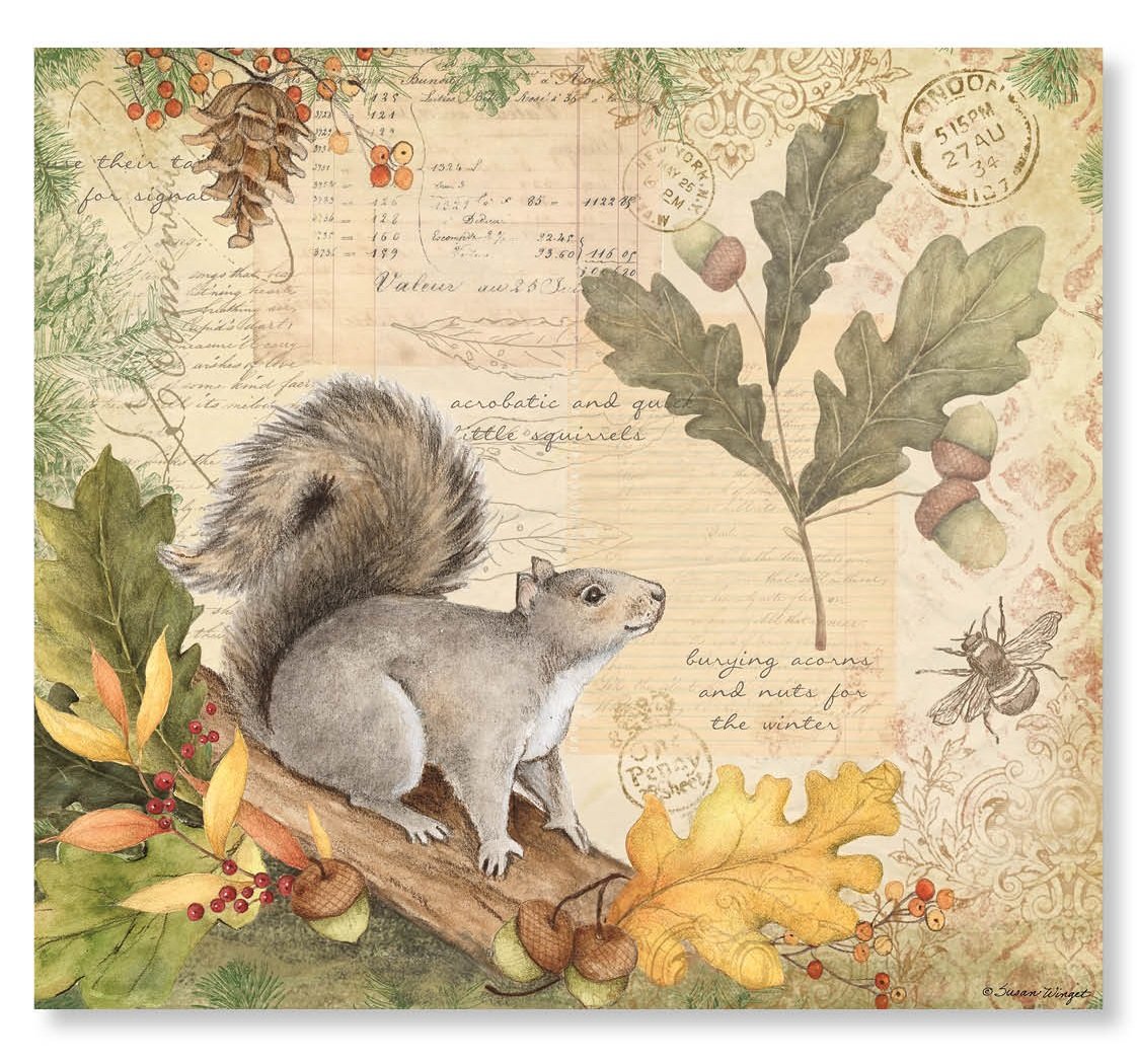 Solve Cute Squirrel jigsaw puzzle online with 255 pieces