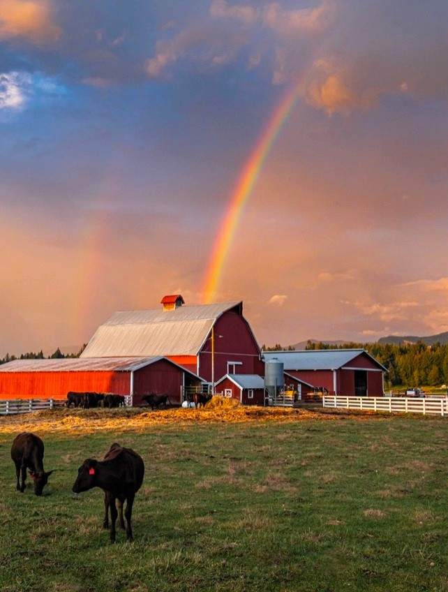 Solve Rainbow(s) Over the Barn After the Rain.... jigsaw puzzle online ...