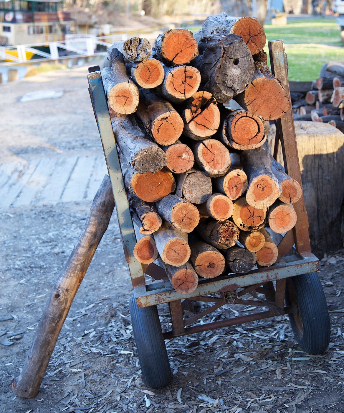 Solve Would you bring the wood? jigsaw puzzle online with 42 pieces