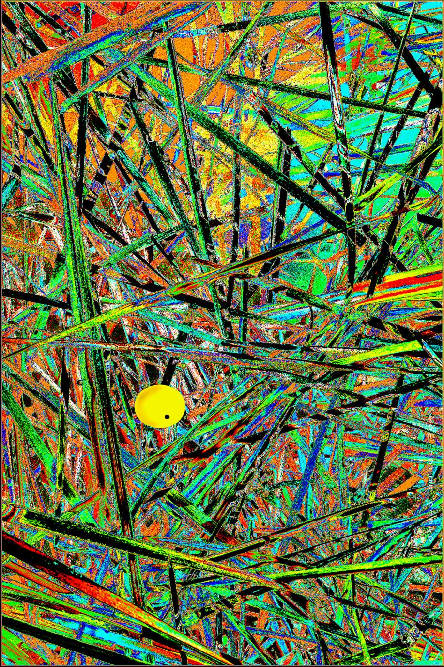 Solve jigidi 221217 chromatized reeds jigsaw puzzle online with 77 pieces