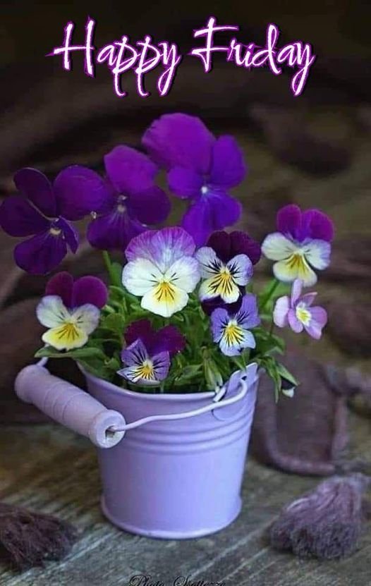 Solve Good Morning - Happy Friday! jigsaw puzzle online with 60 pieces