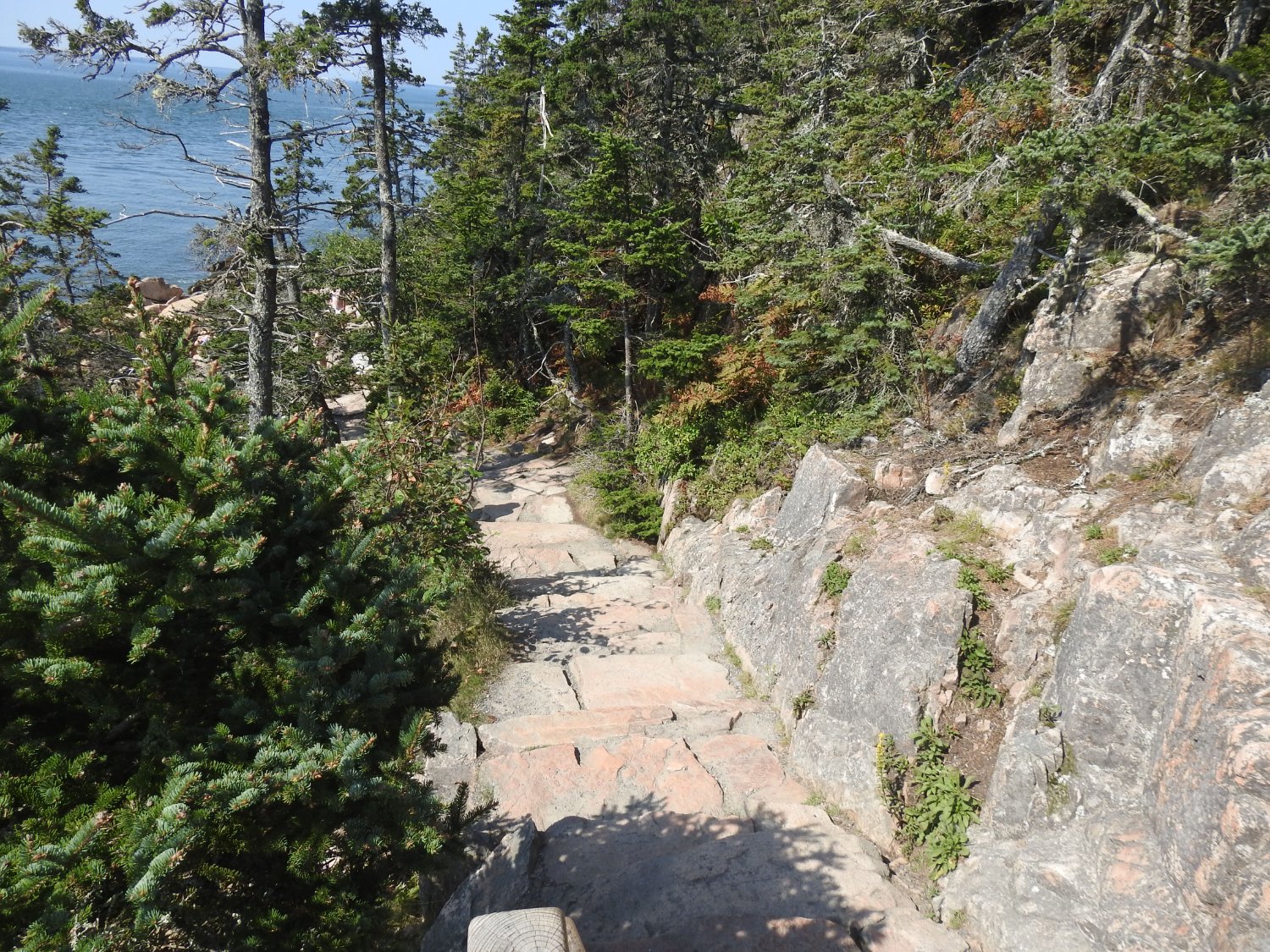 Jigsaw Puzzle | 12 pieces | Let's visit Acadia National Park. | Jigidi