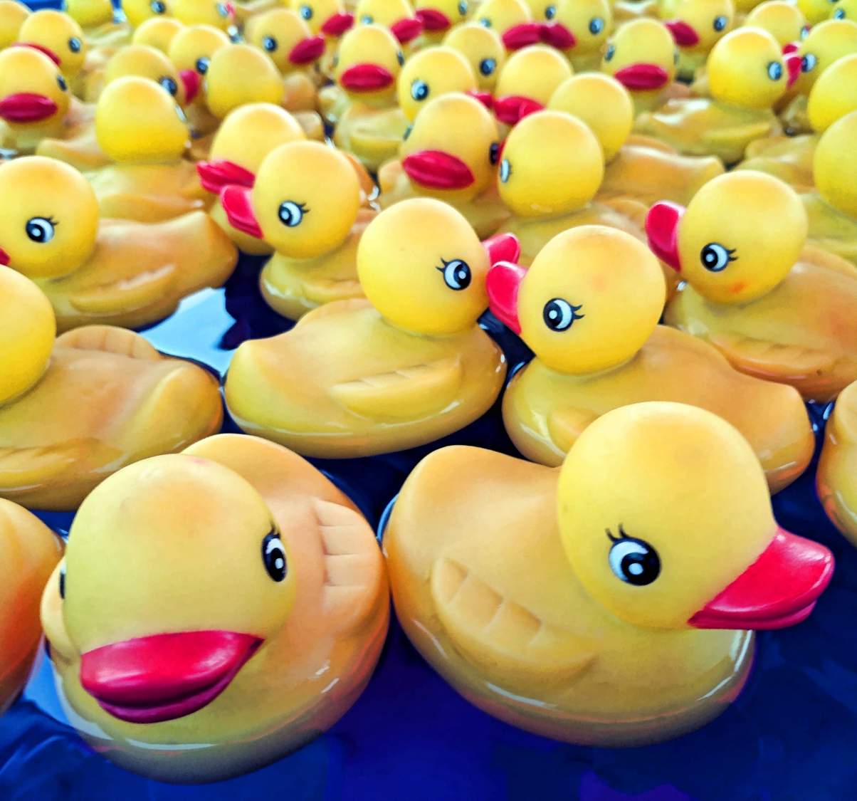 Solve National Rubber Ducky Day jigsaw puzzle online with 36 pieces