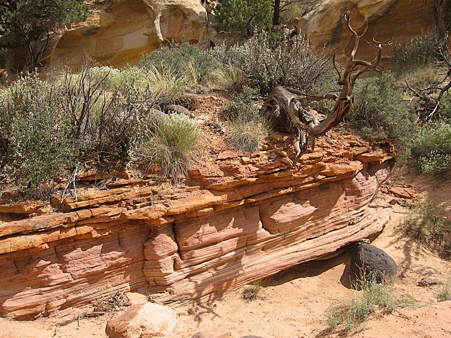 Solve Capitol Reef Utah jigsaw puzzle online with 63 pieces