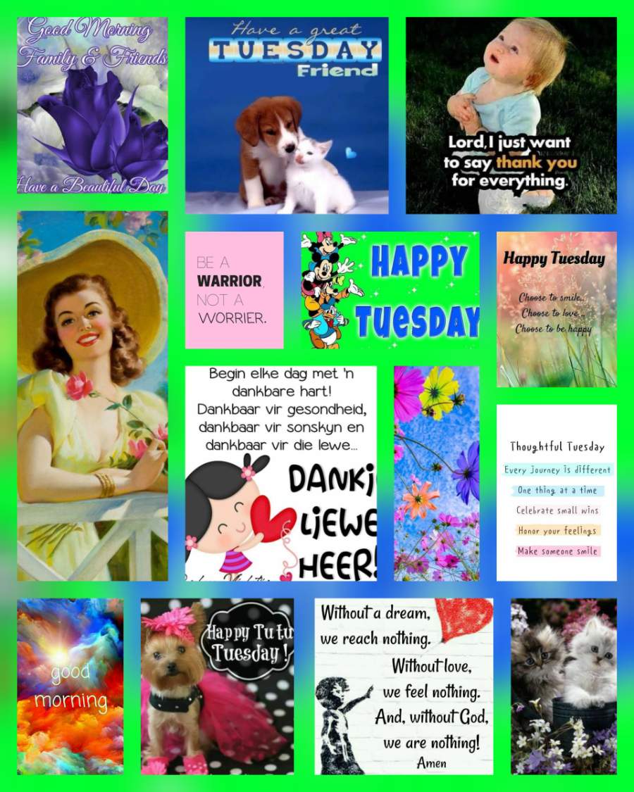 Solve TUESDAY GREETINGS jigsaw puzzle online with 63 pieces