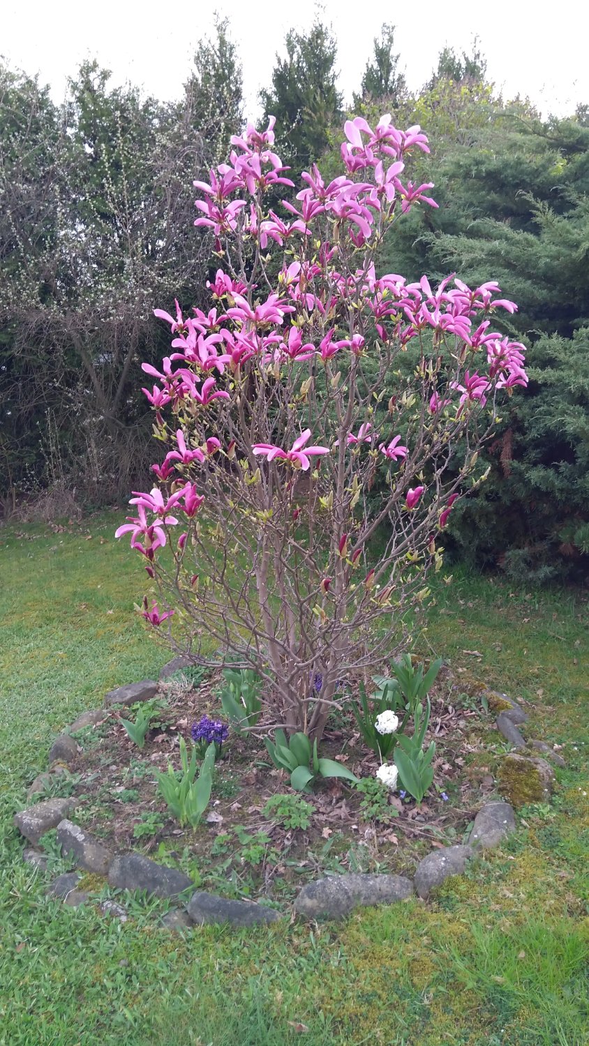 Solve Spring jigsaw puzzle online with 91 pieces