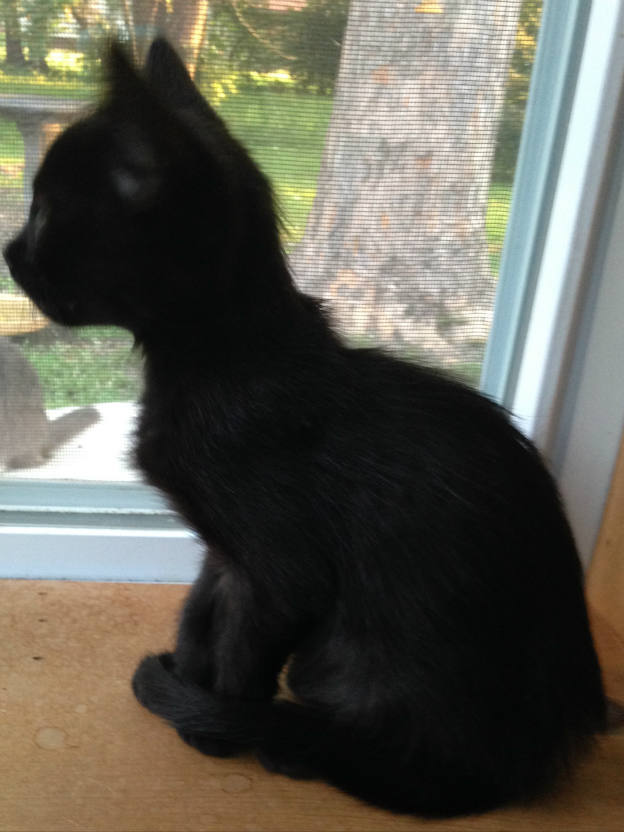 Solve Reilly Day 3 jigsaw puzzle online with 20 pieces