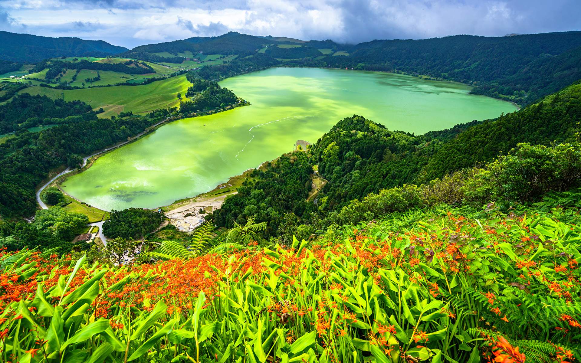 Solve Portugal_Azores_Furnas_Lake jigsaw puzzle online with 187 pieces
