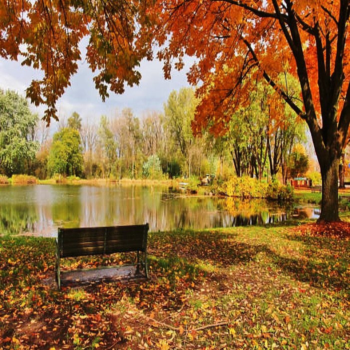 Solve Middleton, WI jigsaw puzzle online with 25 pieces