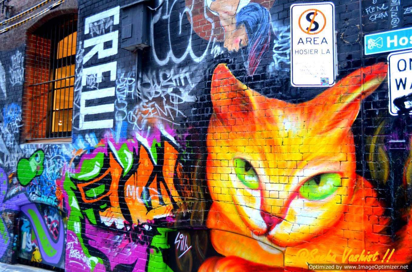 Solve Hosier Lane Street Art jigsaw puzzle online with 54 pieces