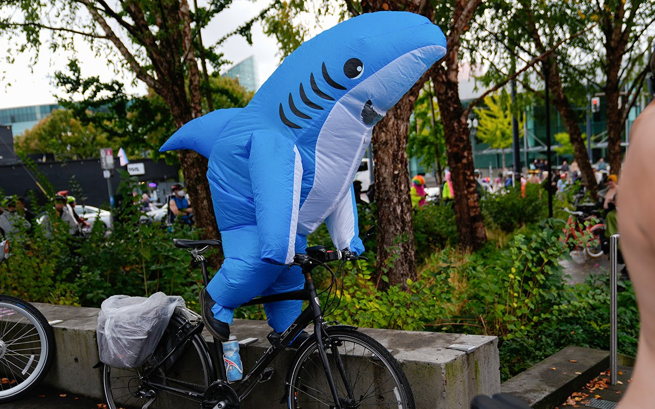 Solve A person in an inflatable costume jigsaw puzzle online with 77 pieces
