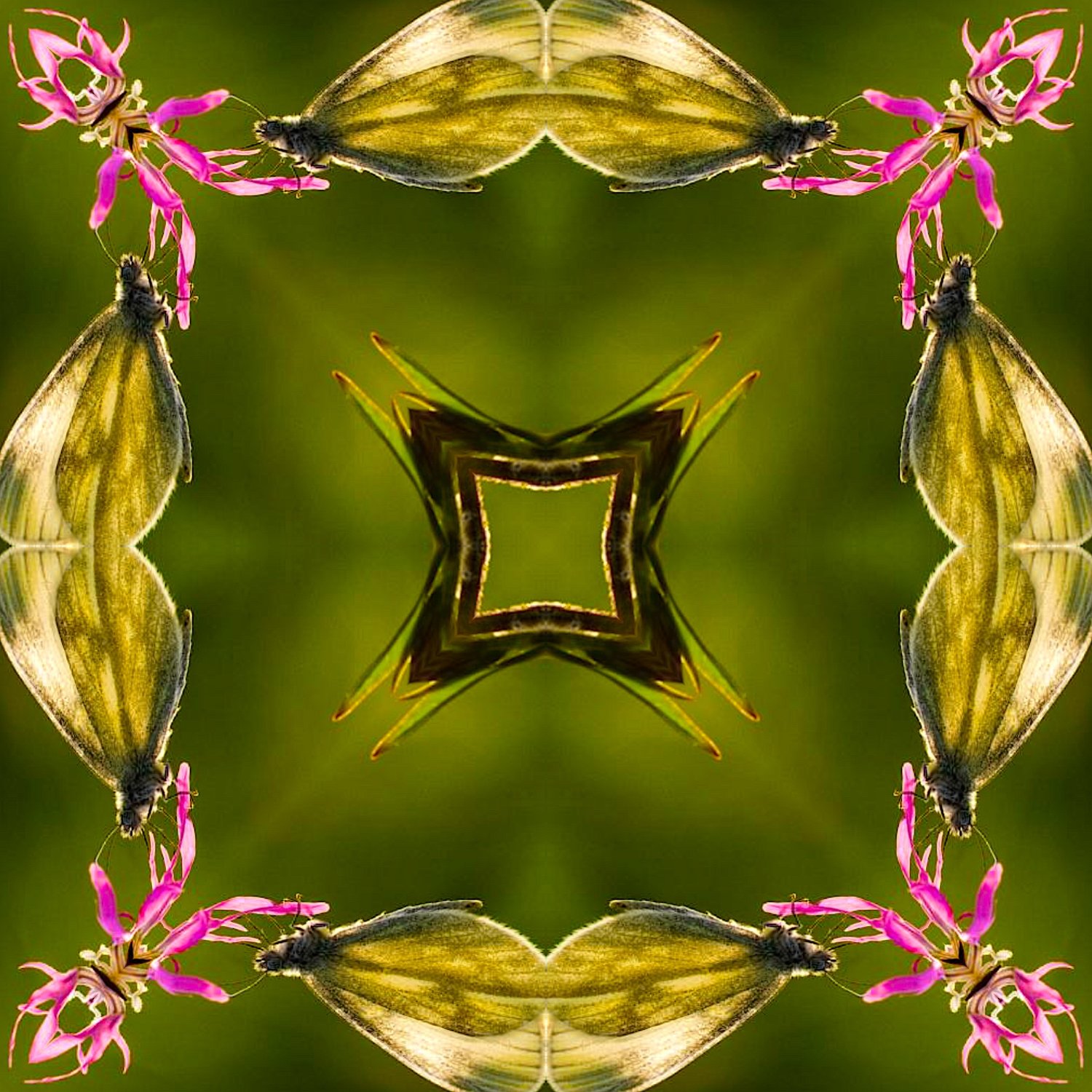 Solve #1 small jigsaw puzzle online with 64 pieces