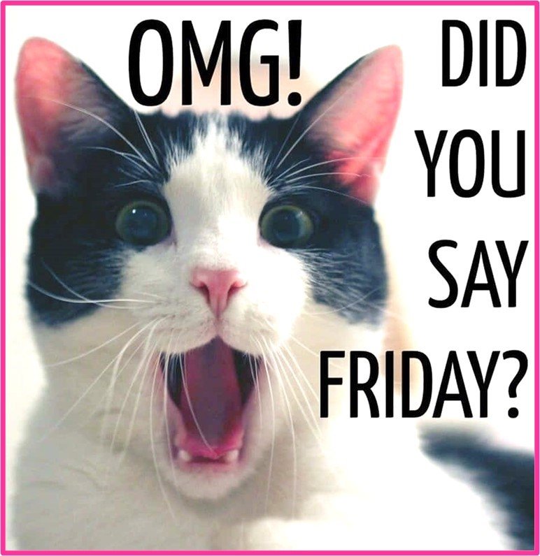 Solve Happy Friday! jigsaw puzzle online with 36 pieces